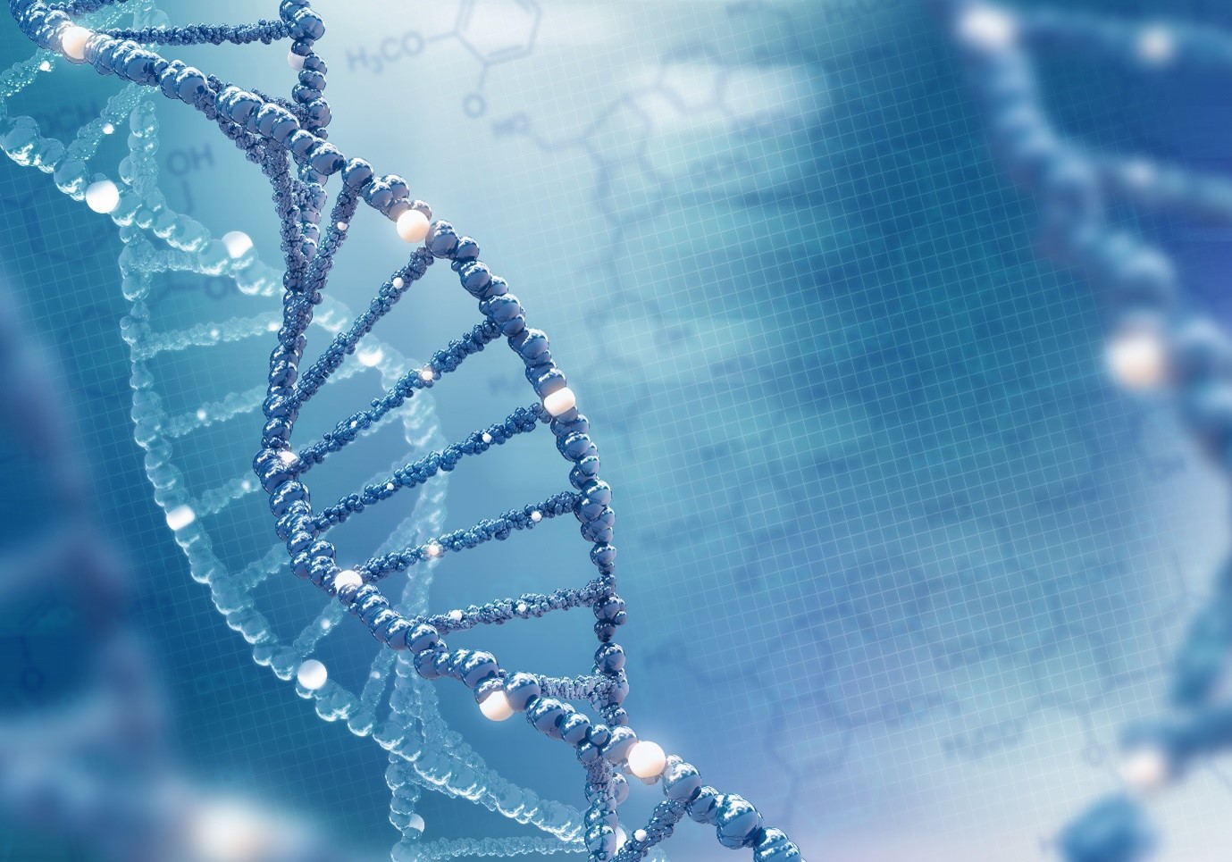A healthy pregnancy starts with a healthy embryo: The value of ...