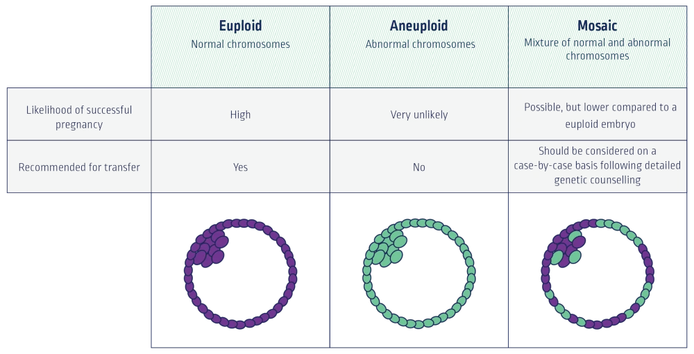 PGT-A | Preimplantation Genetic Testing for Aneuploidy