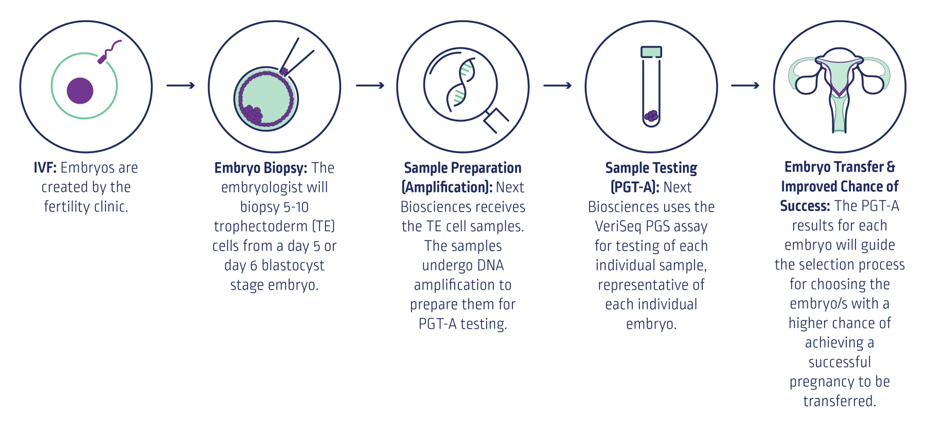 PGT-A | Preimplantation Genetic Testing for Aneuploidy