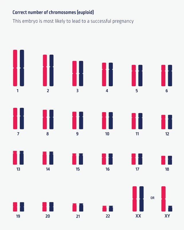 PGT-A | Preimplantation Genetic Testing for Aneuploidy